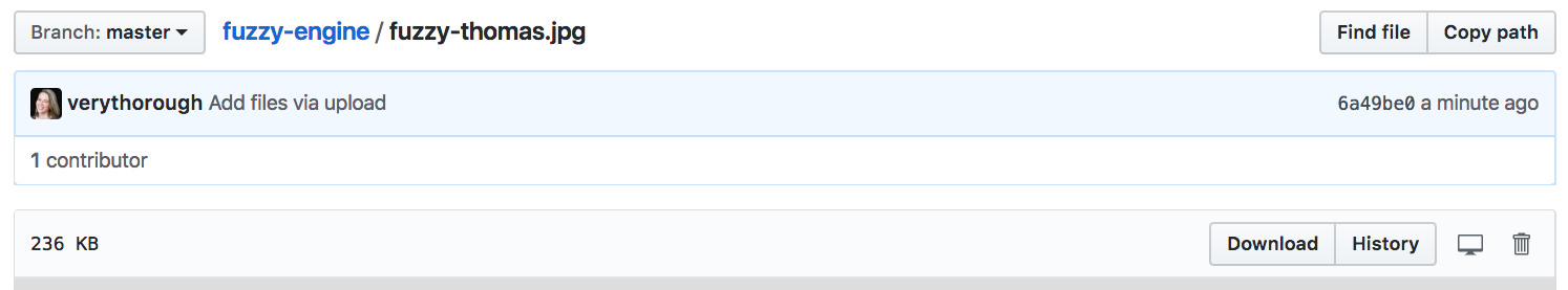 Intro to Version Control ~ Girl Develop It Dayton